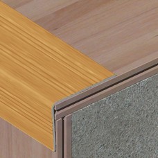 Lineco: protectie pentru trepte cu rizuri din aluminiu sublicromat ...